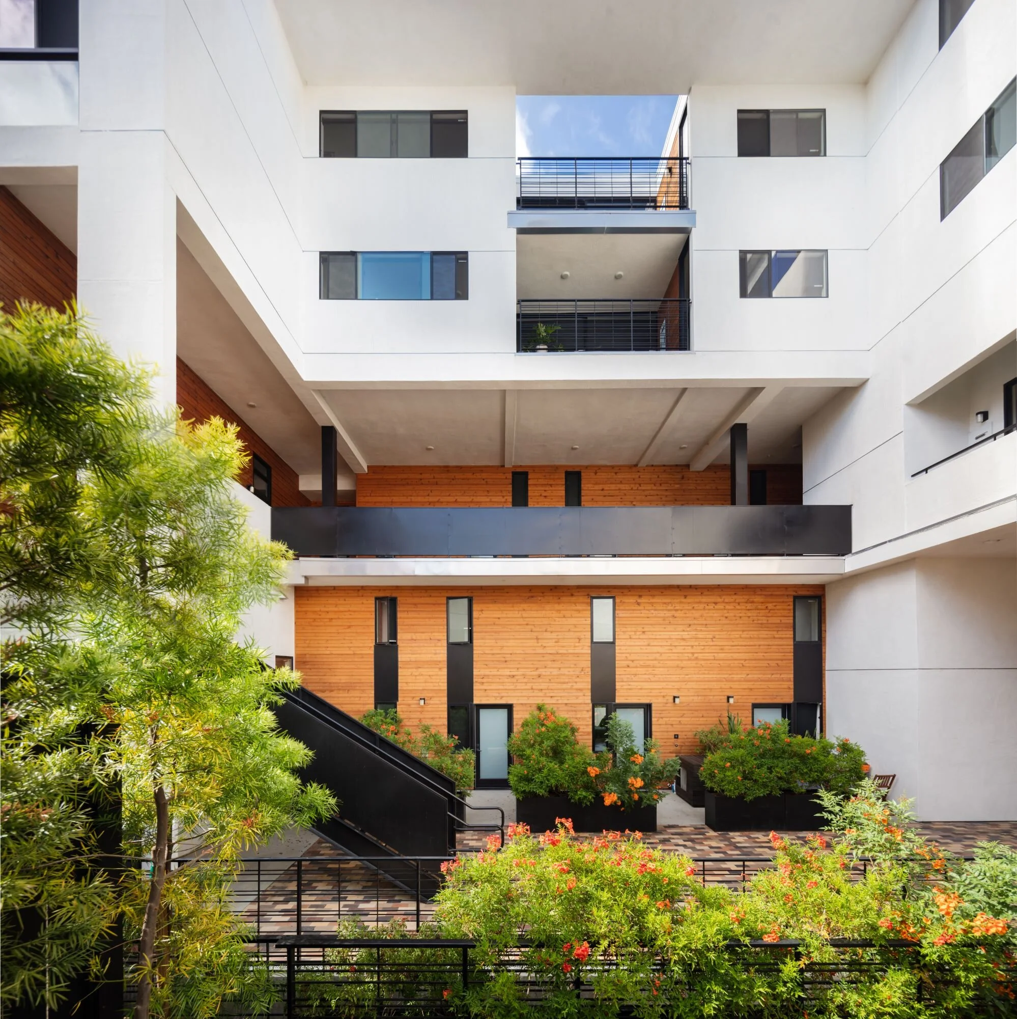 The Louie — lloyd russell, aia