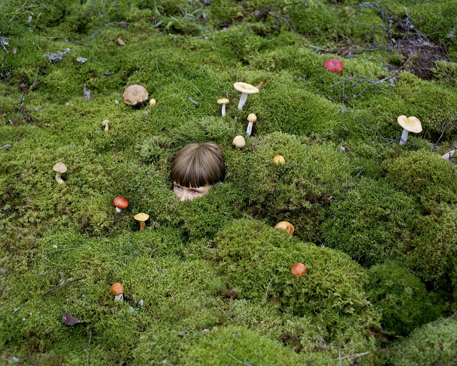 Riitta Ikonen