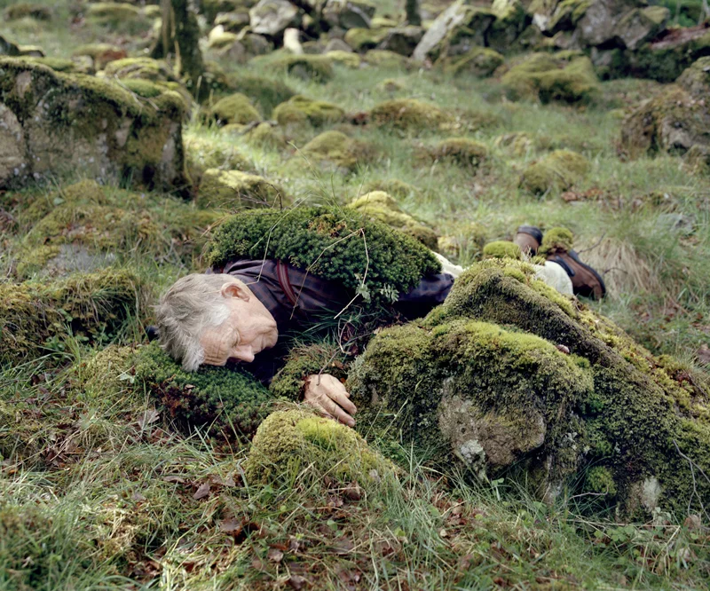 Riitta Ikonen