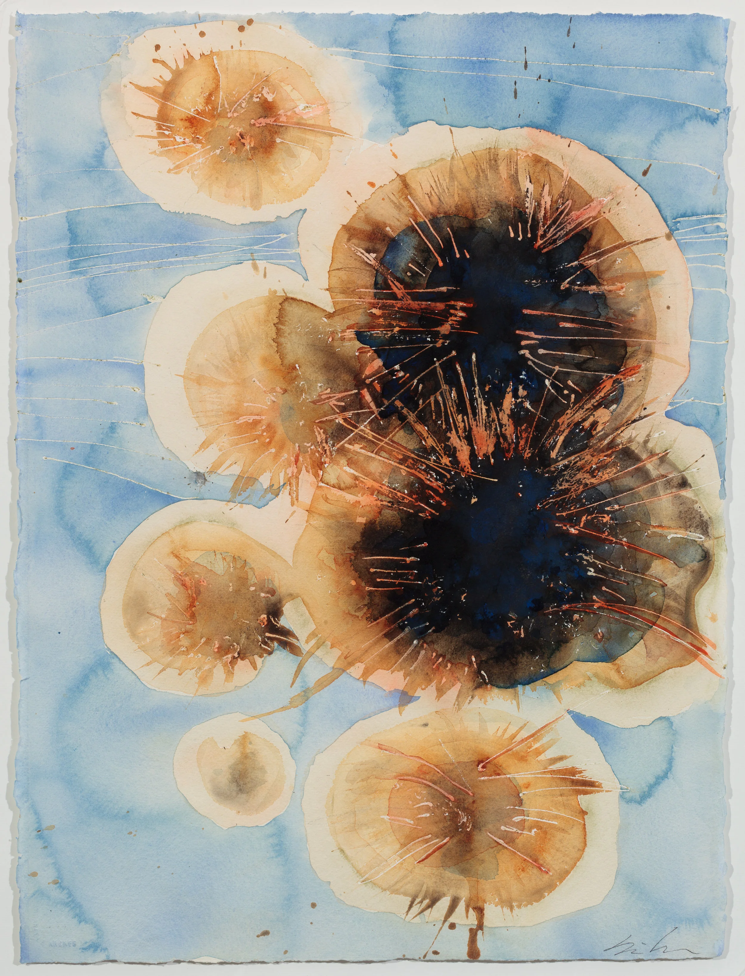 Comber- watercolors — Walker Fine Art