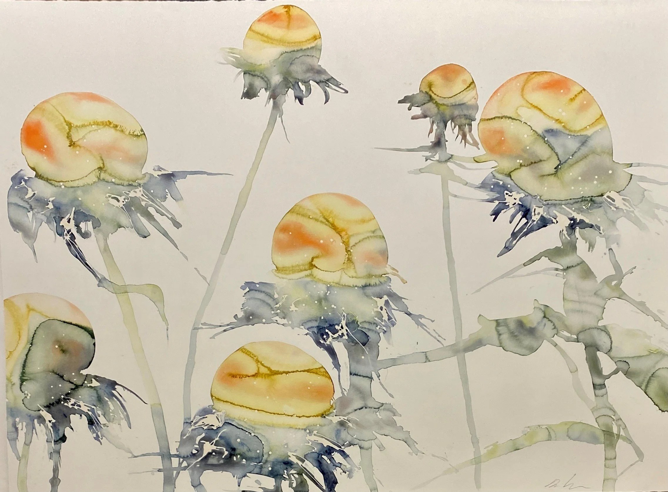 Comber- watercolors — Walker Fine Art