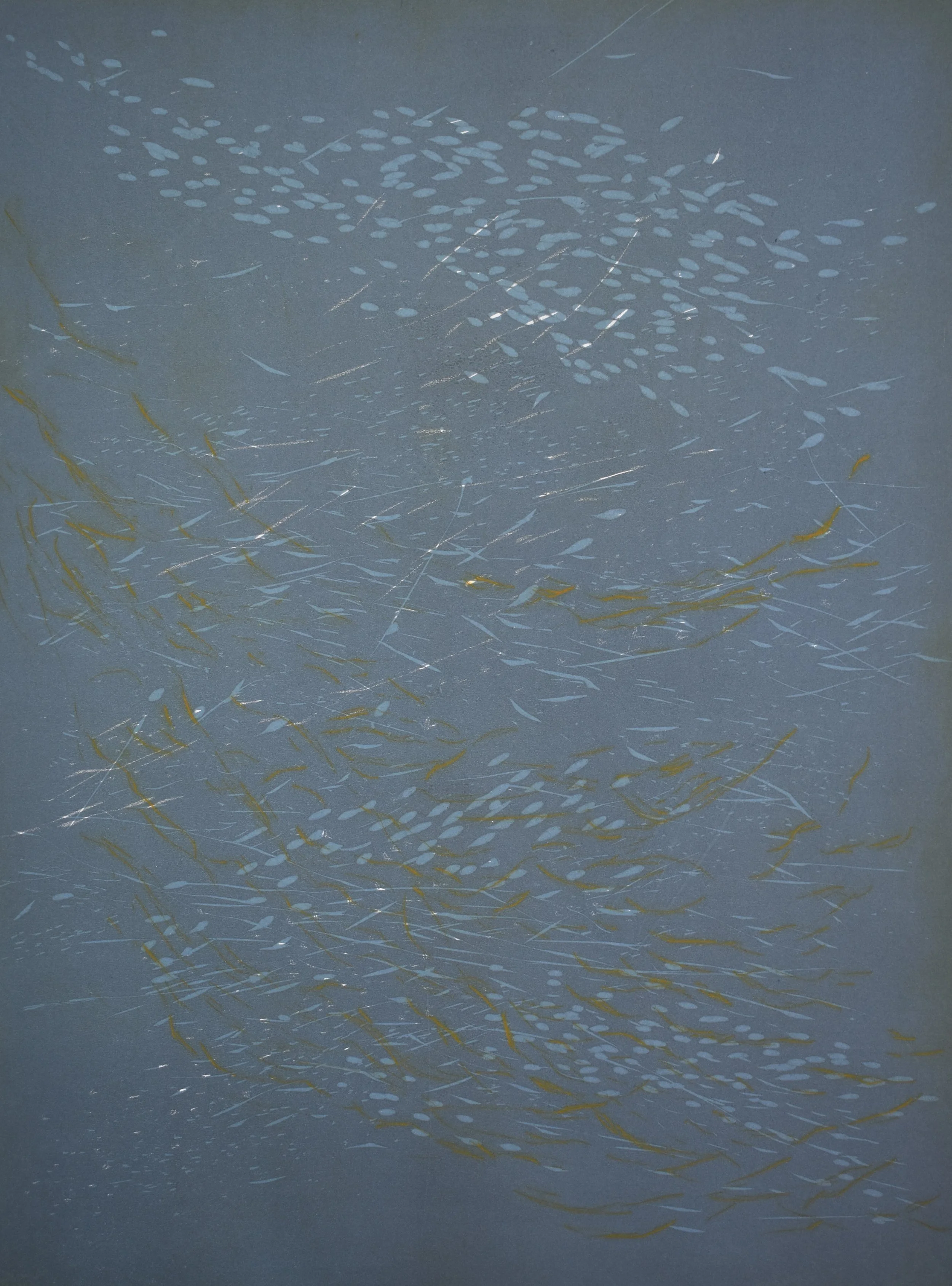 Cannon-Prints — Walker Fine Art