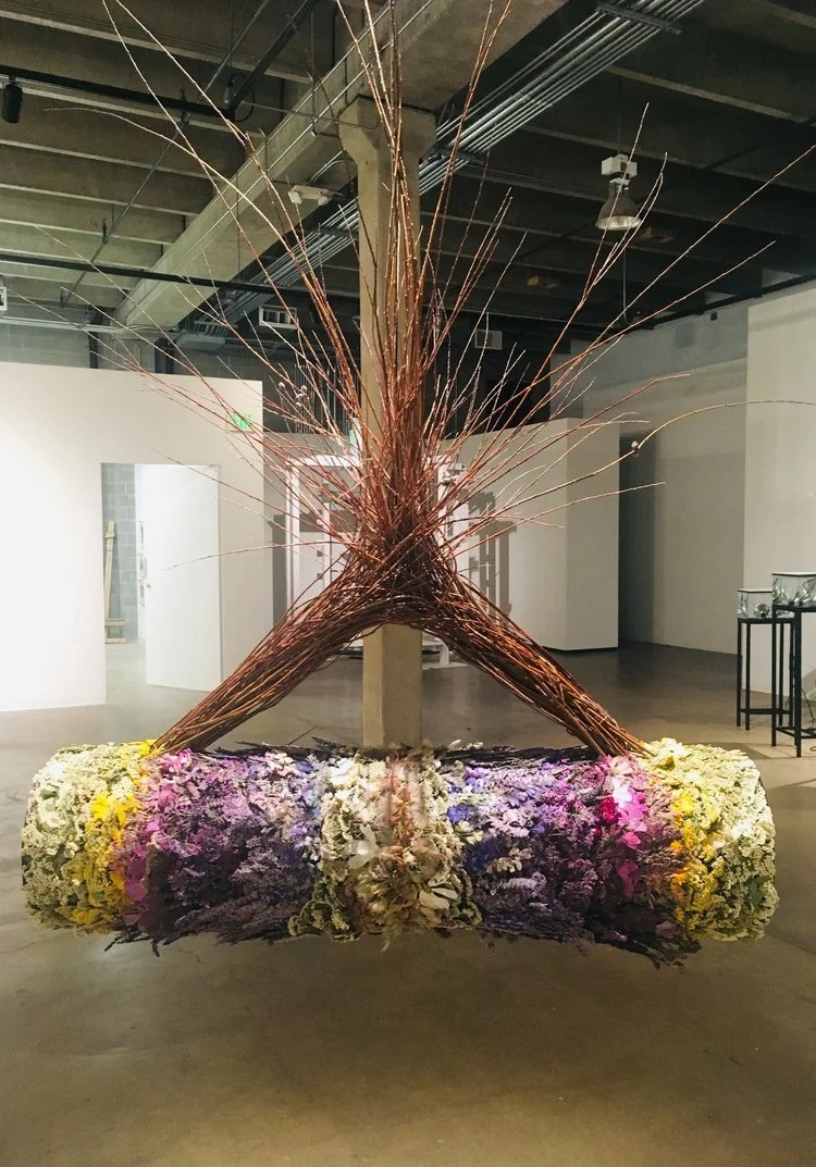 Roscina_Nests — Walker Fine Art