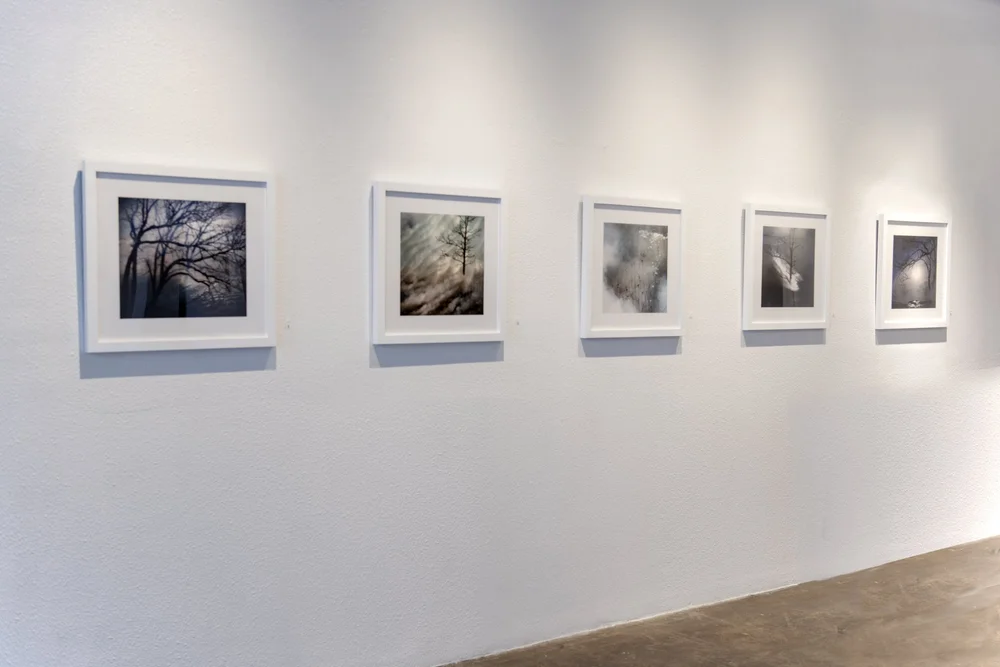 Jane Fulton Alt — Walker Fine Art