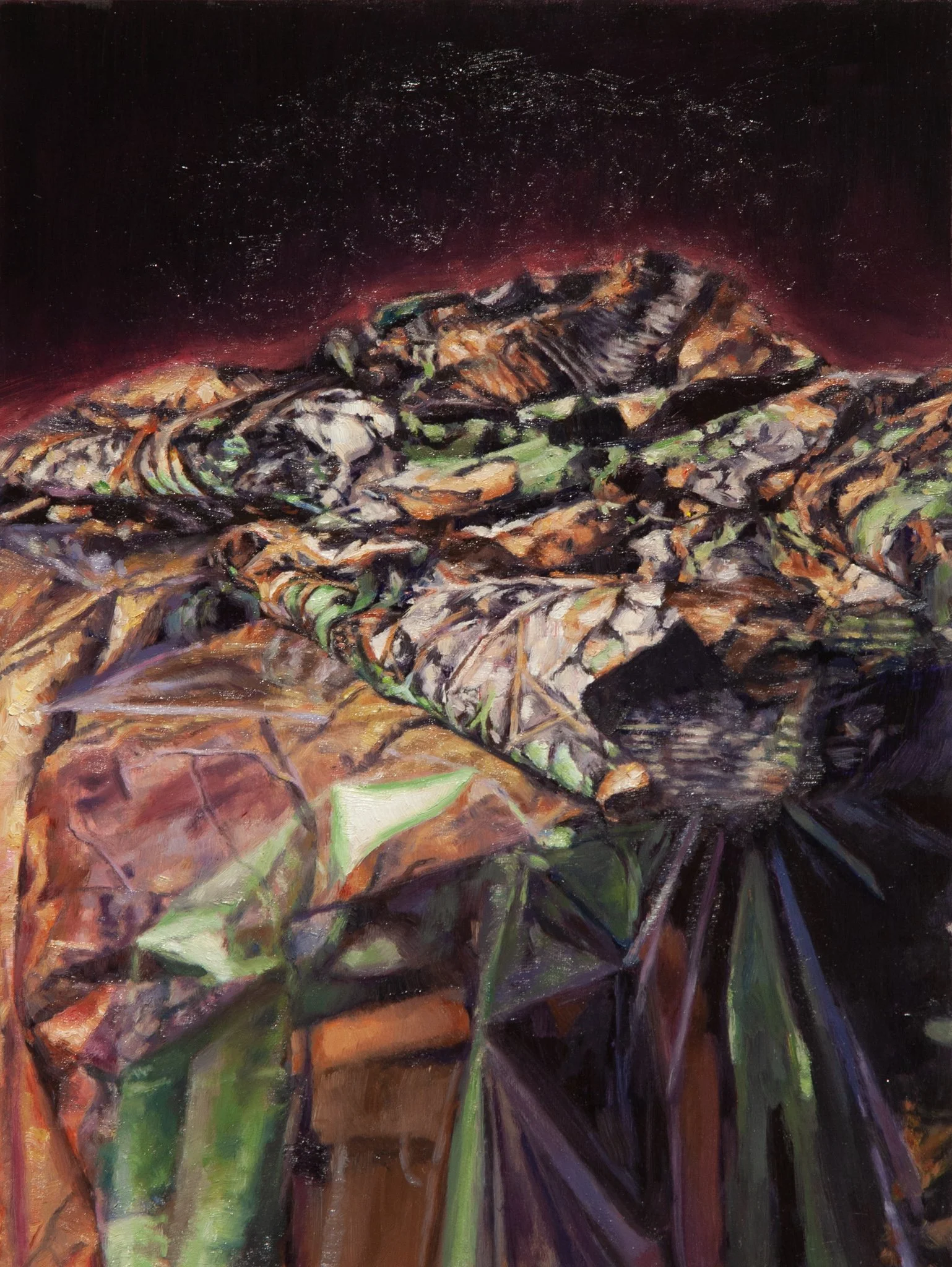 Colin W Davis - Painter