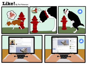 Your Dog's Facebook - How Dogs Use Social Media — Kindred Companions LLC