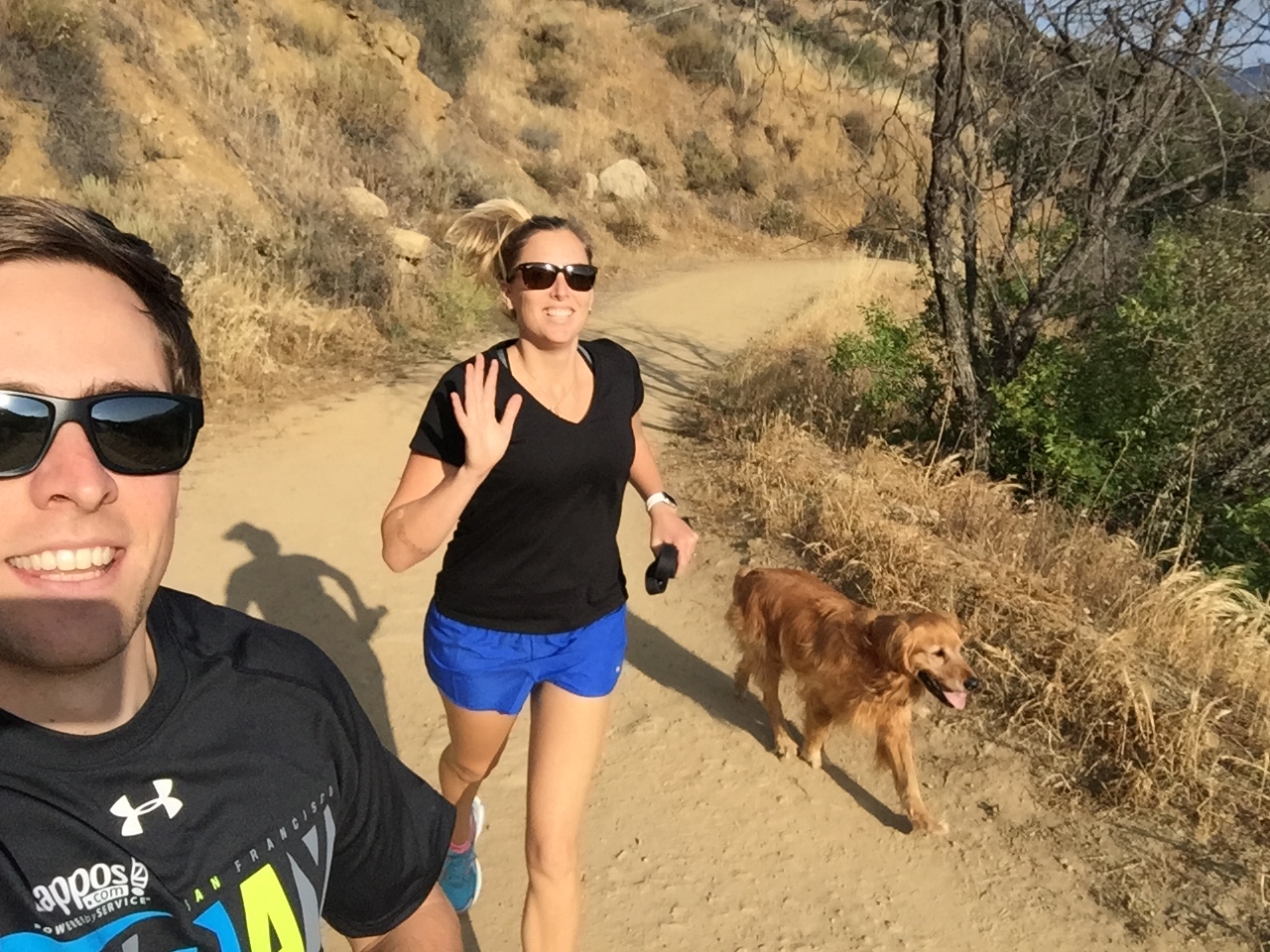 DiMs, SiMs, the Protectometer & my personal journey through pain ...