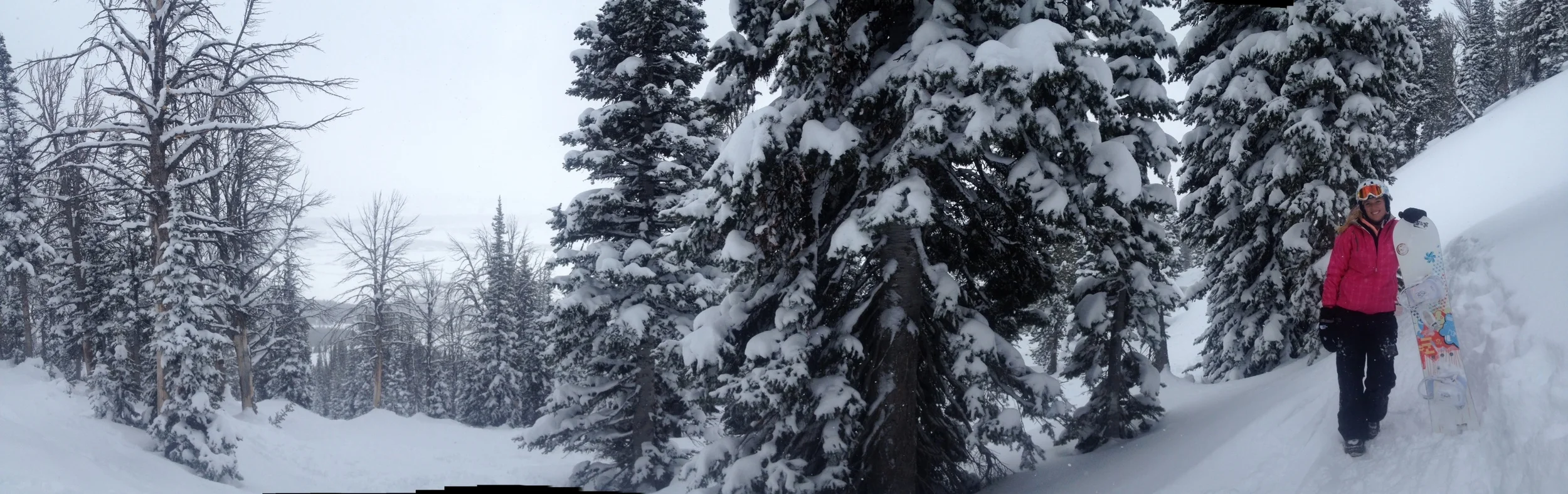 DiMs, SiMs, the Protectometer & my personal journey through pain ...