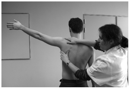 The role of the Scapula in Shoulder Impingement Syndrome: Part 1 ...