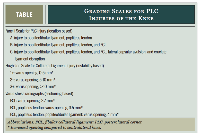Injuries to the posterolateral corner of the knee — Rayner & Smale