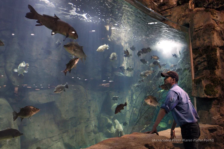 Bass Pro Shop Opens In Memphis Pyramid — KAREN PULFER FOCHT Photojournalist