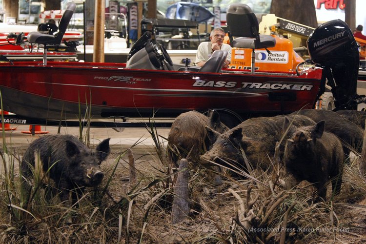 Bass Pro Shop Opens In Memphis Pyramid — KAREN PULFER FOCHT Photojournalist