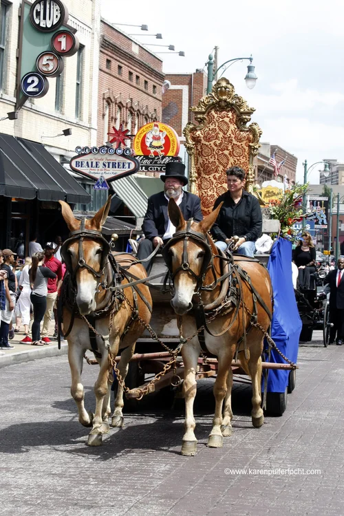 RIP Ruby Wilson Queen of Beale Street — KAREN PULFER FOCHT Photojournalist