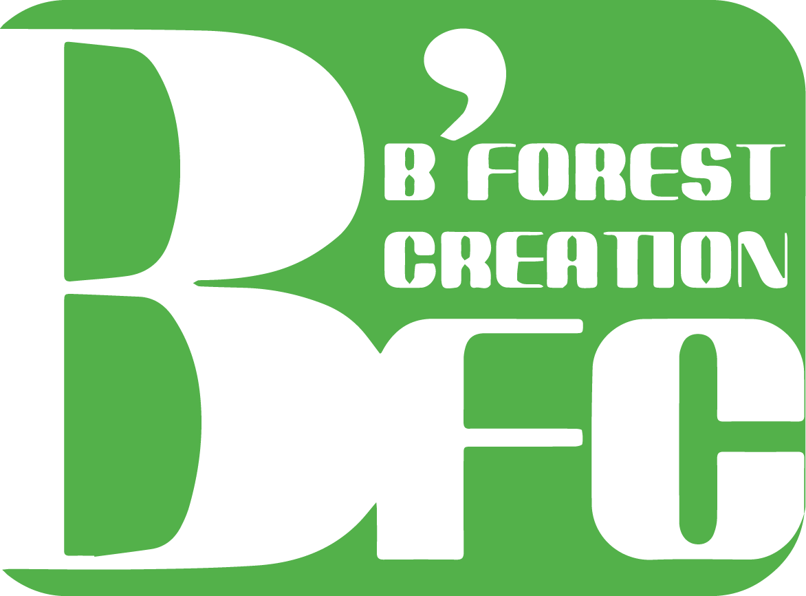 关于 About — B10现场 · B10 Live