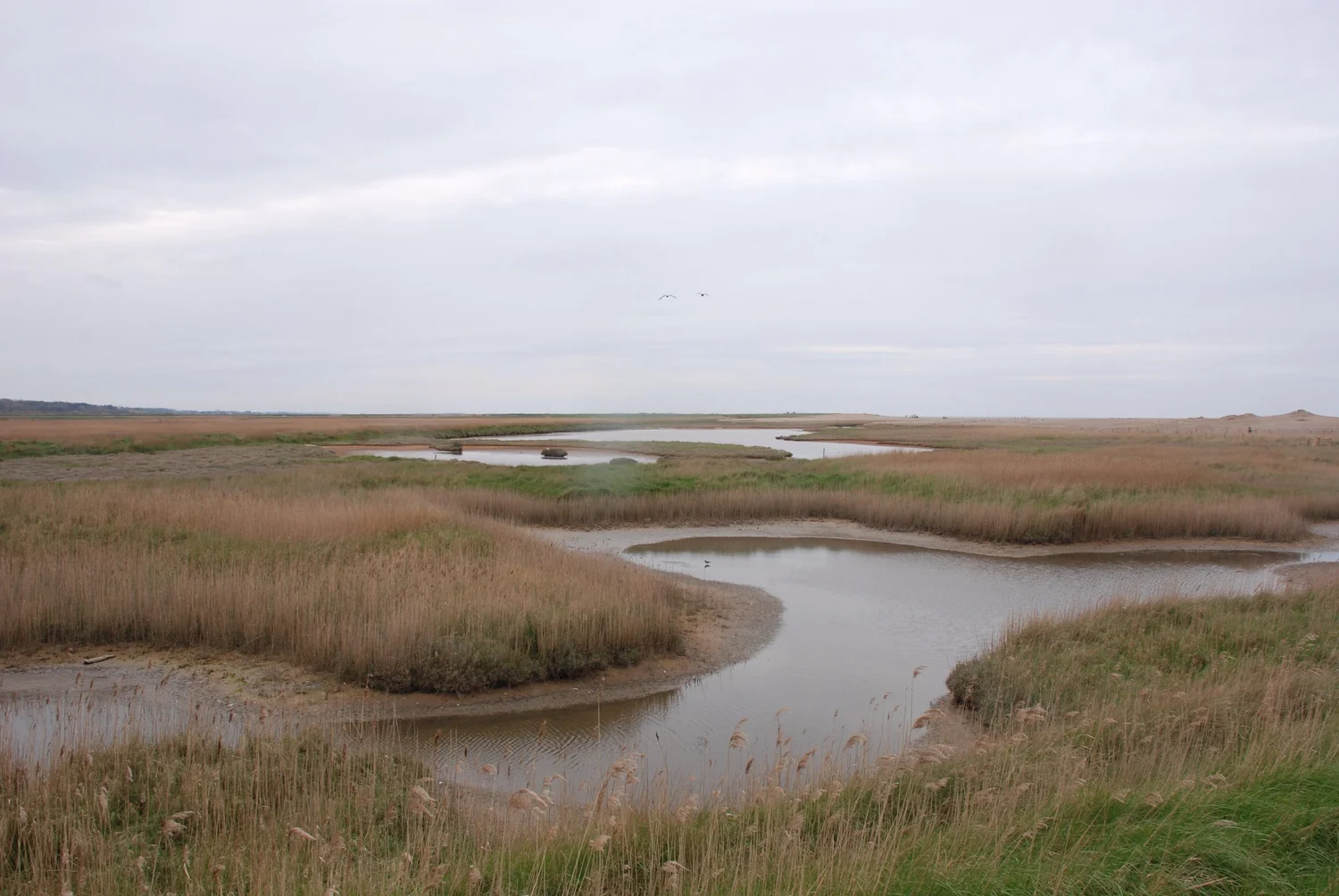 Helen Terry - Soft greys