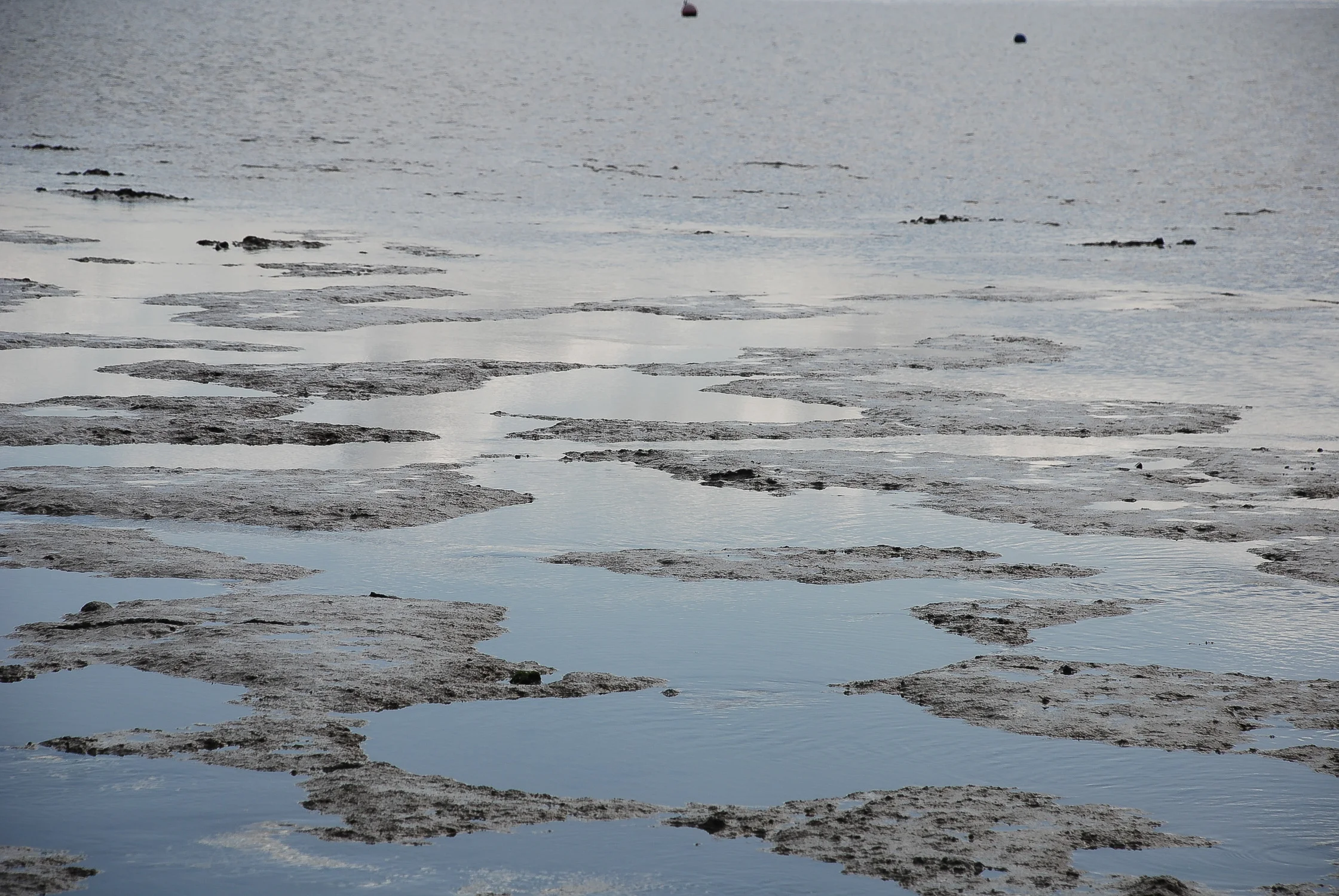 Helen Terry - Watching the tide turn
