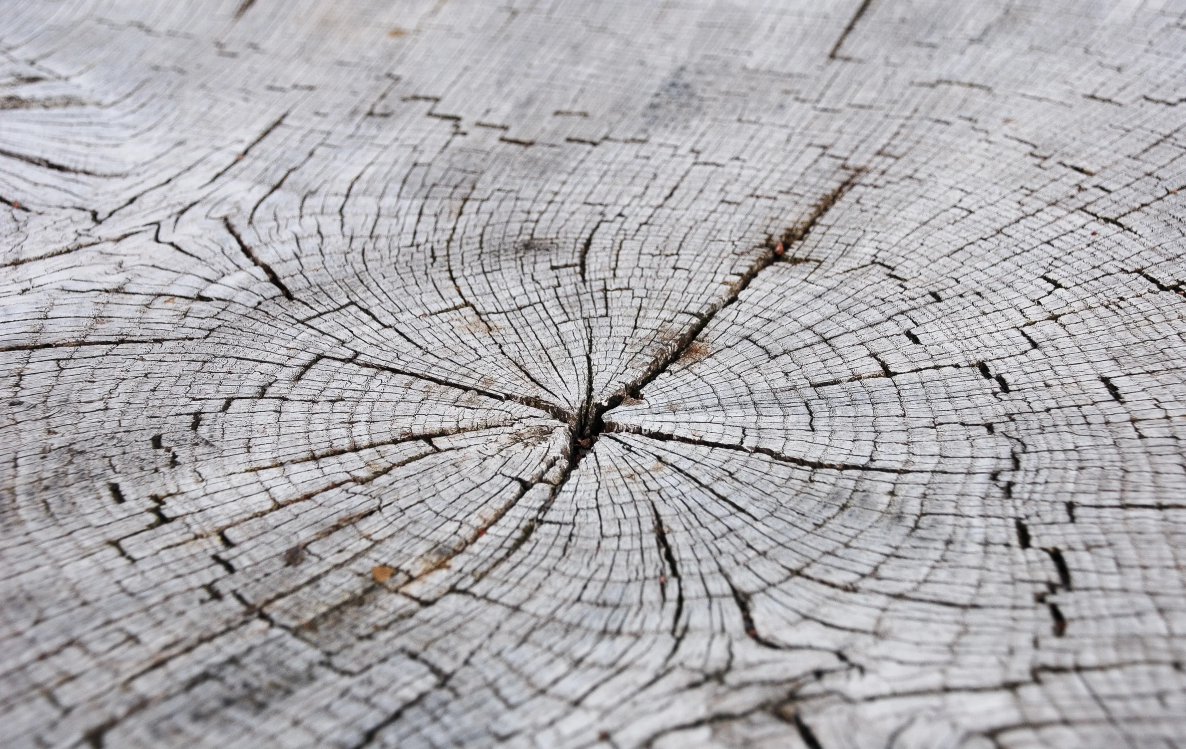 Helen Terry - Found marks and ambiguity