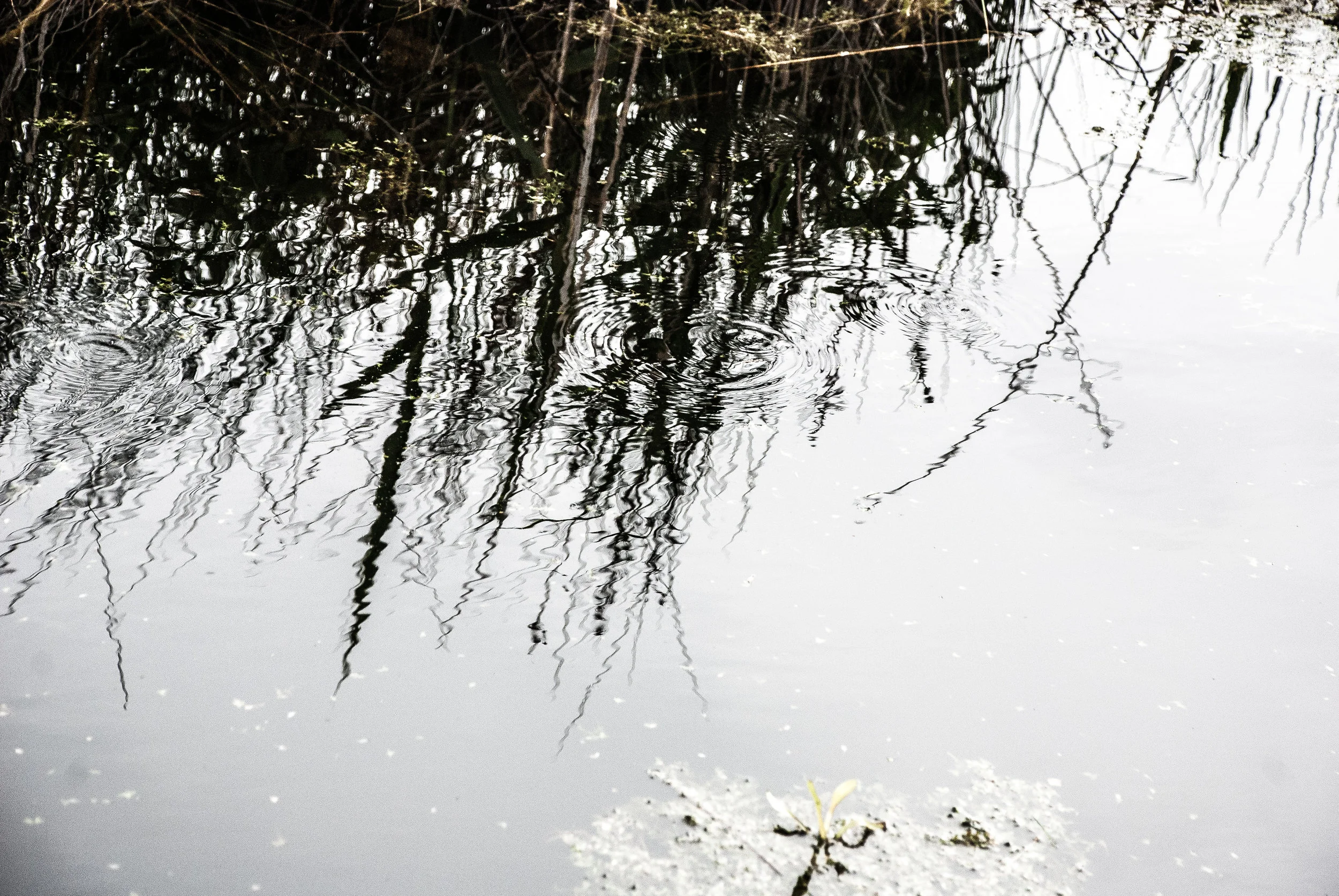 Helen Terry - Reflections