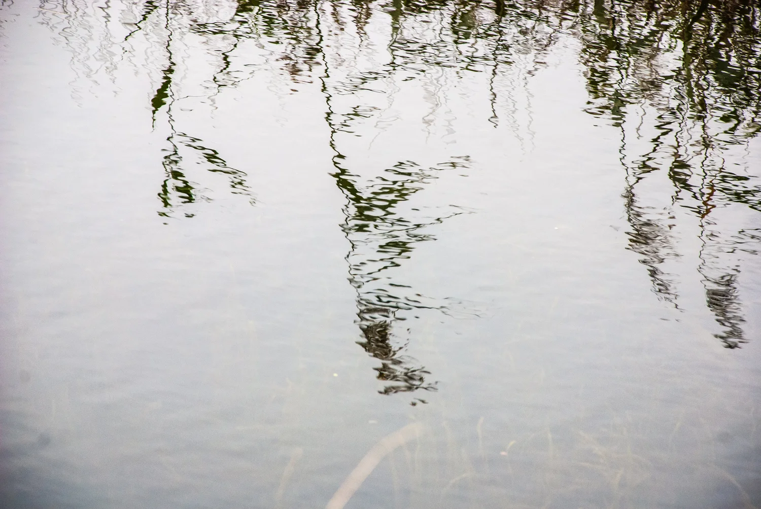 Helen Terry - Reflections