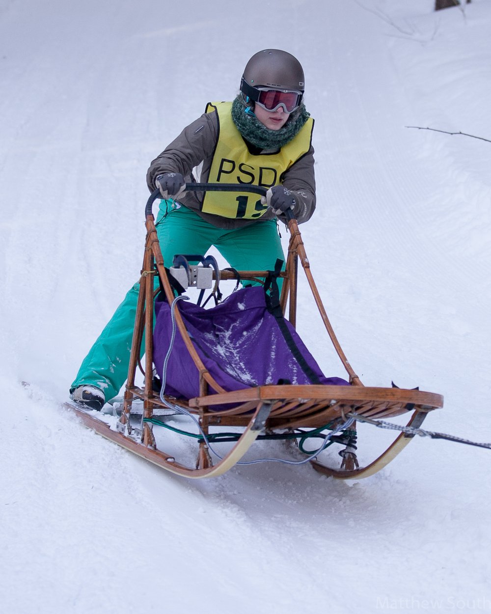 How To Train Your Sled Dog
