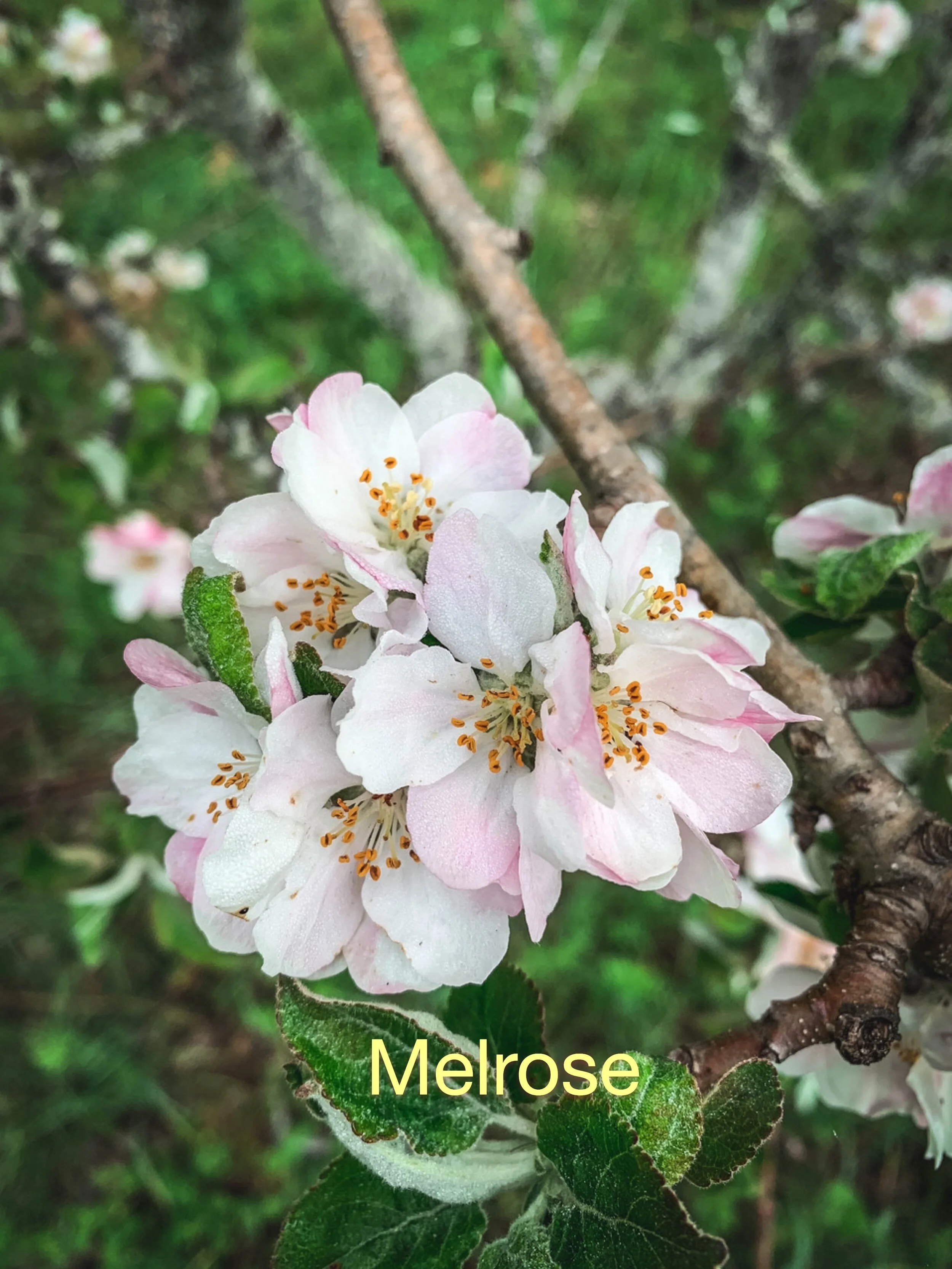 EAT THE VIEW blog — Barndiva