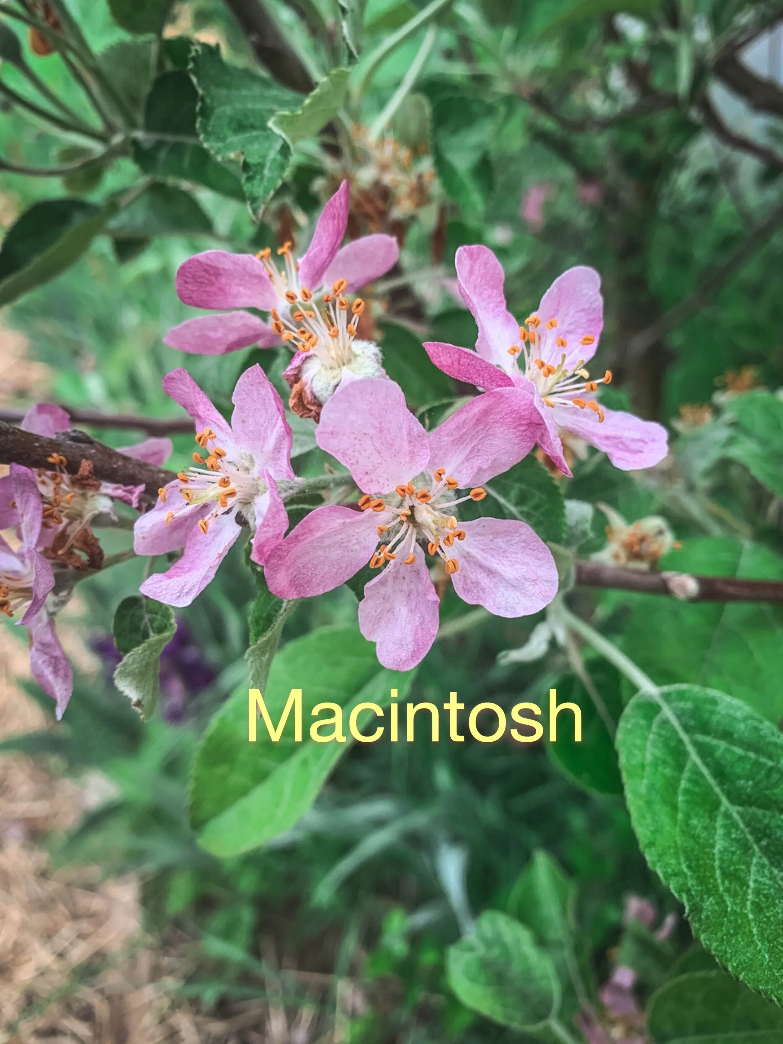 EAT THE VIEW blog — Barndiva