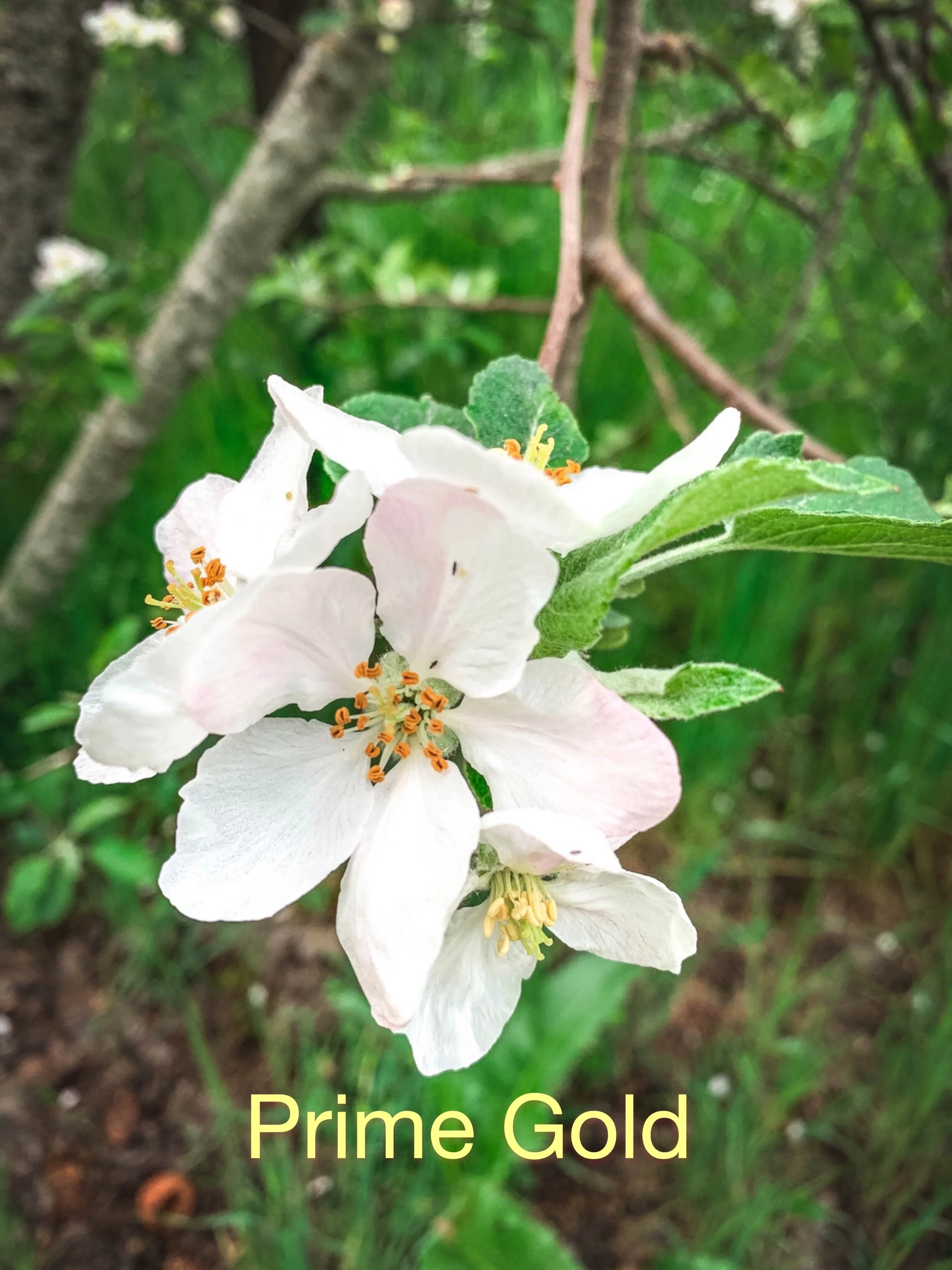 EAT THE VIEW blog — Barndiva