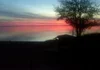 Lure Bar & Grill @ Barnum Bay Marina