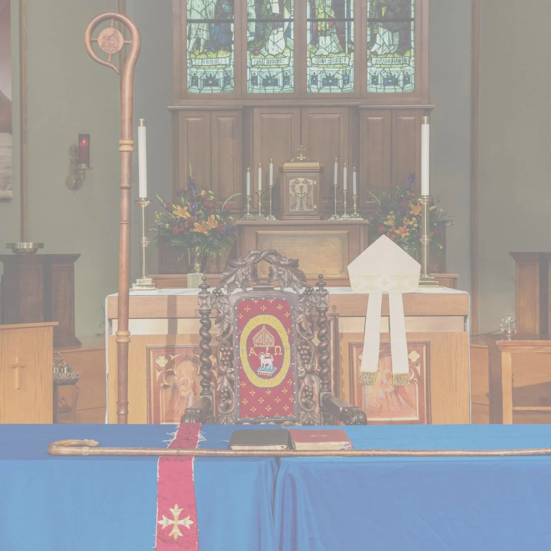 Church Safety Training and Resources — Diocese of the Western Gulf Coast