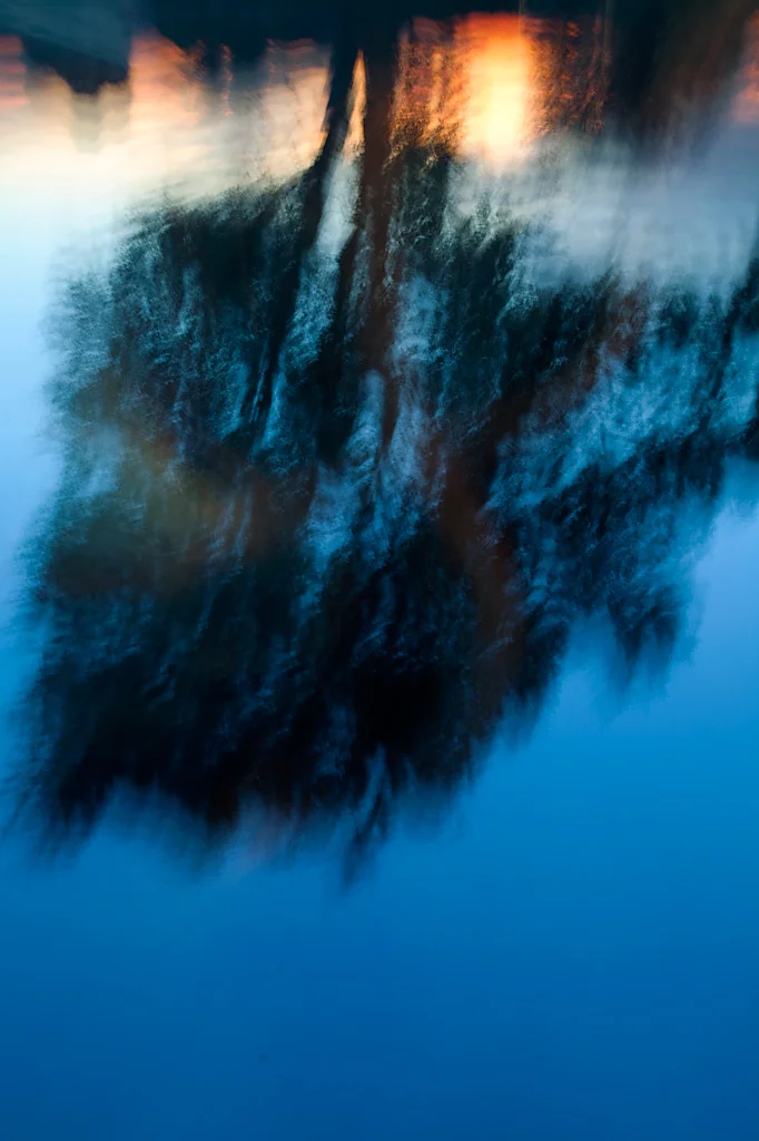 Delmarva — Slonina Nature Photography