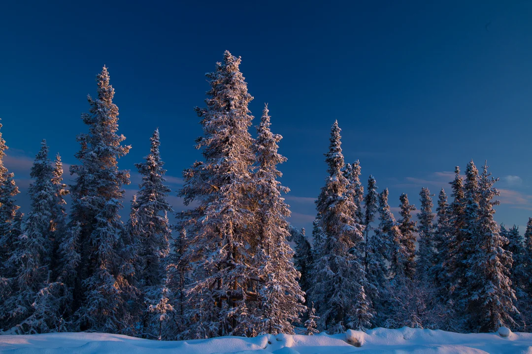 Alaska Northern Lights Photo Tours and Workshops — Slonina Nature ...