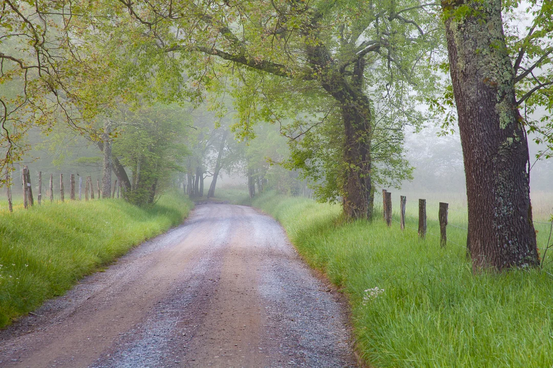 Great Smoky Mountains Photos — Slonina Nature Photography