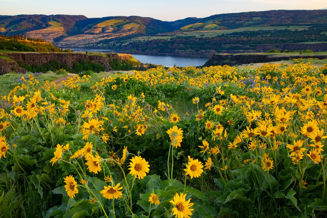 Photo Tours and Workshops of Oregon, Columbia Gorge and the Coast ...