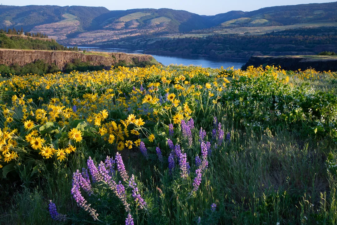 Photo Tours and Workshops of Oregon, Columbia Gorge and the Coast ...