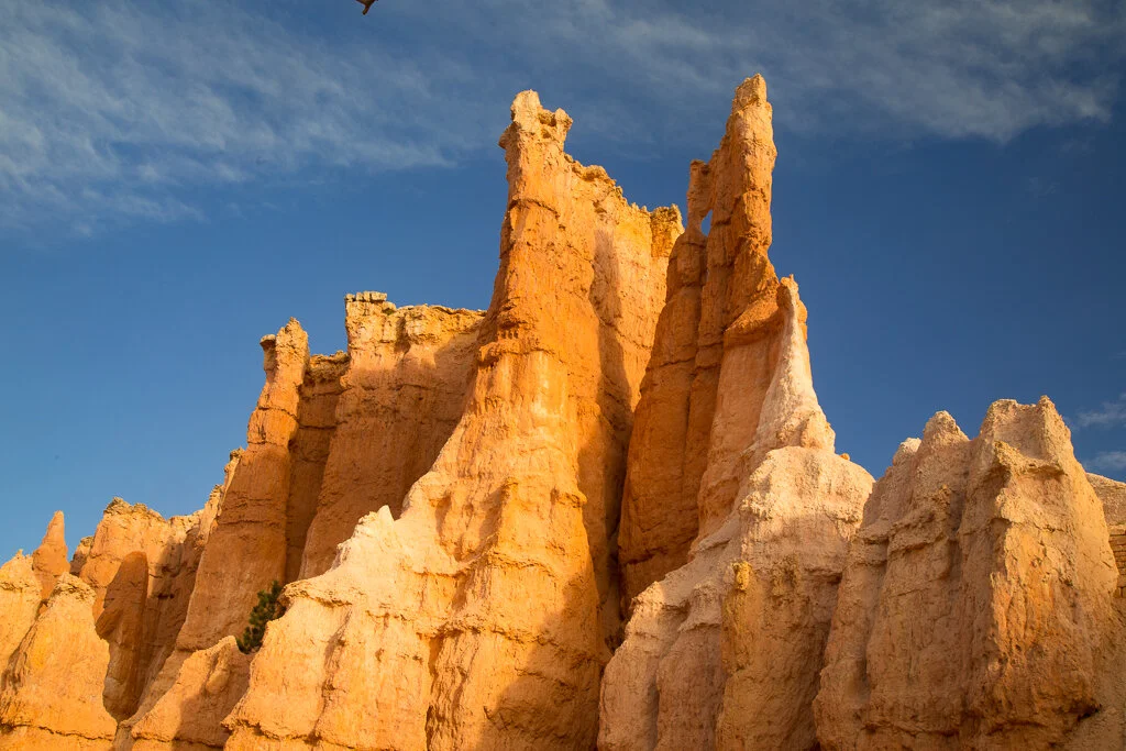 Zion, Bryce, Valley of Fire: Southwest — Slonina Nature Photography