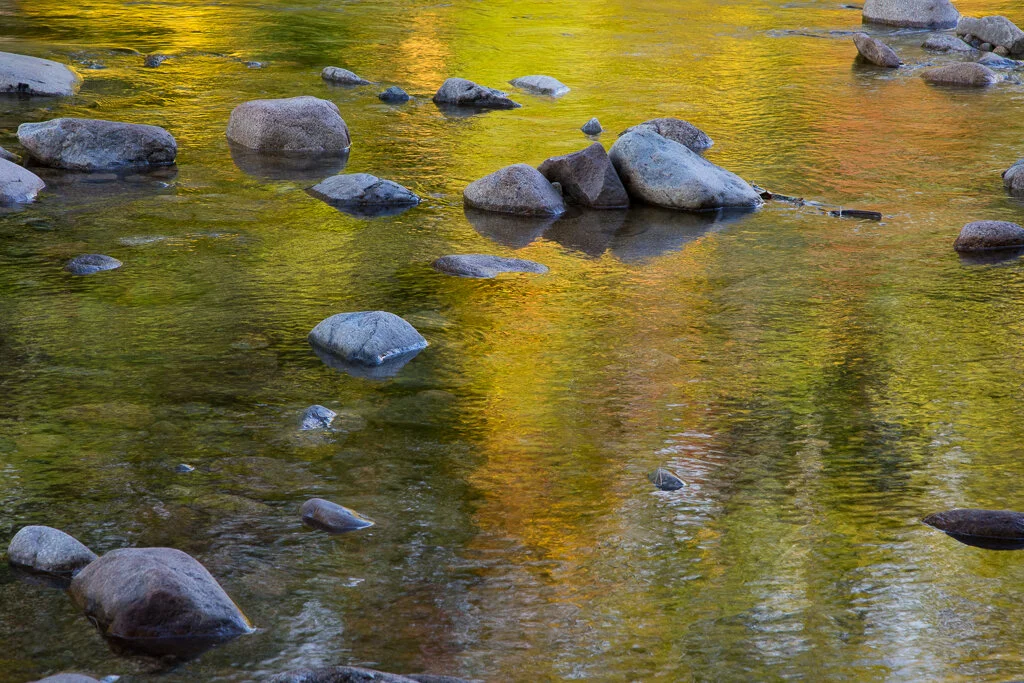 New England — Slonina Nature Photography
