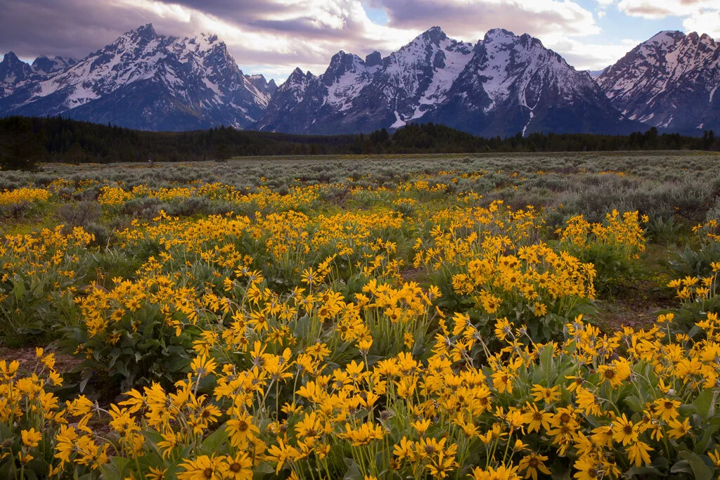 Grand Teton Landscape Photo Galleries — Slonina Nature Photography