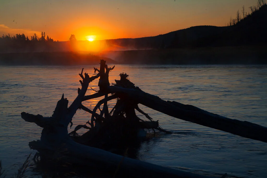 Yellowstone and Grand Tetons Photo Tours and Workshops — Slonina Nature ...