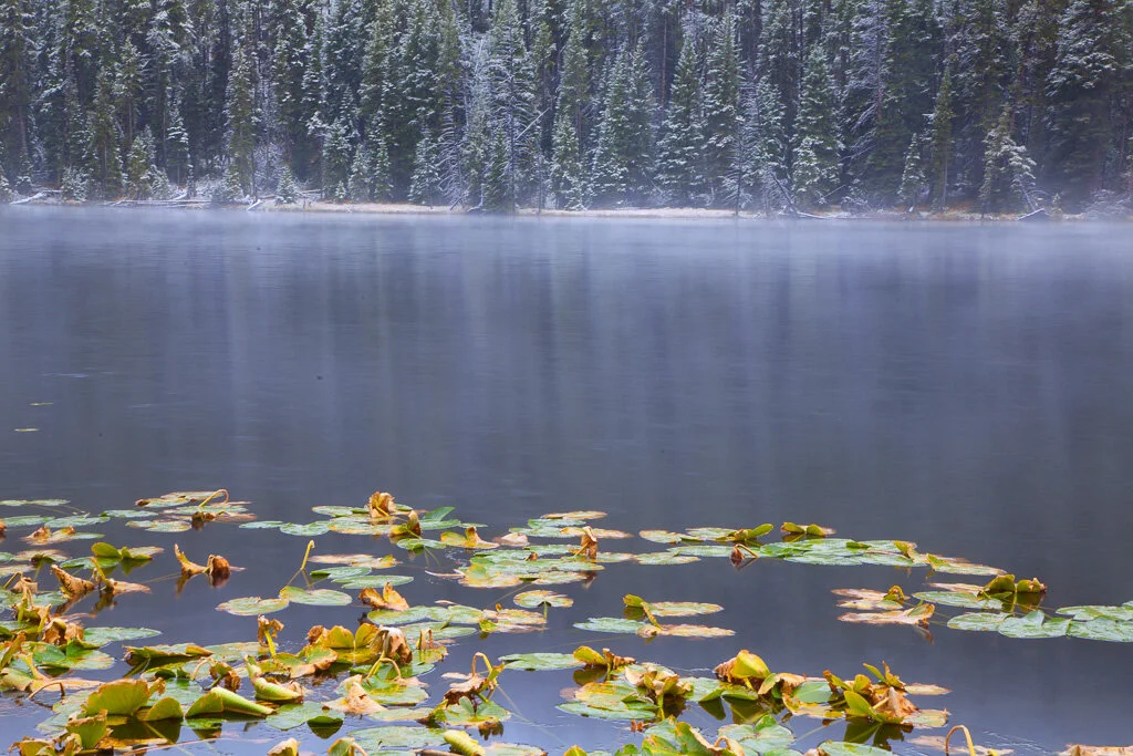 Yellowstone and Grand Tetons Photo Tours and Workshops — Slonina Nature ...