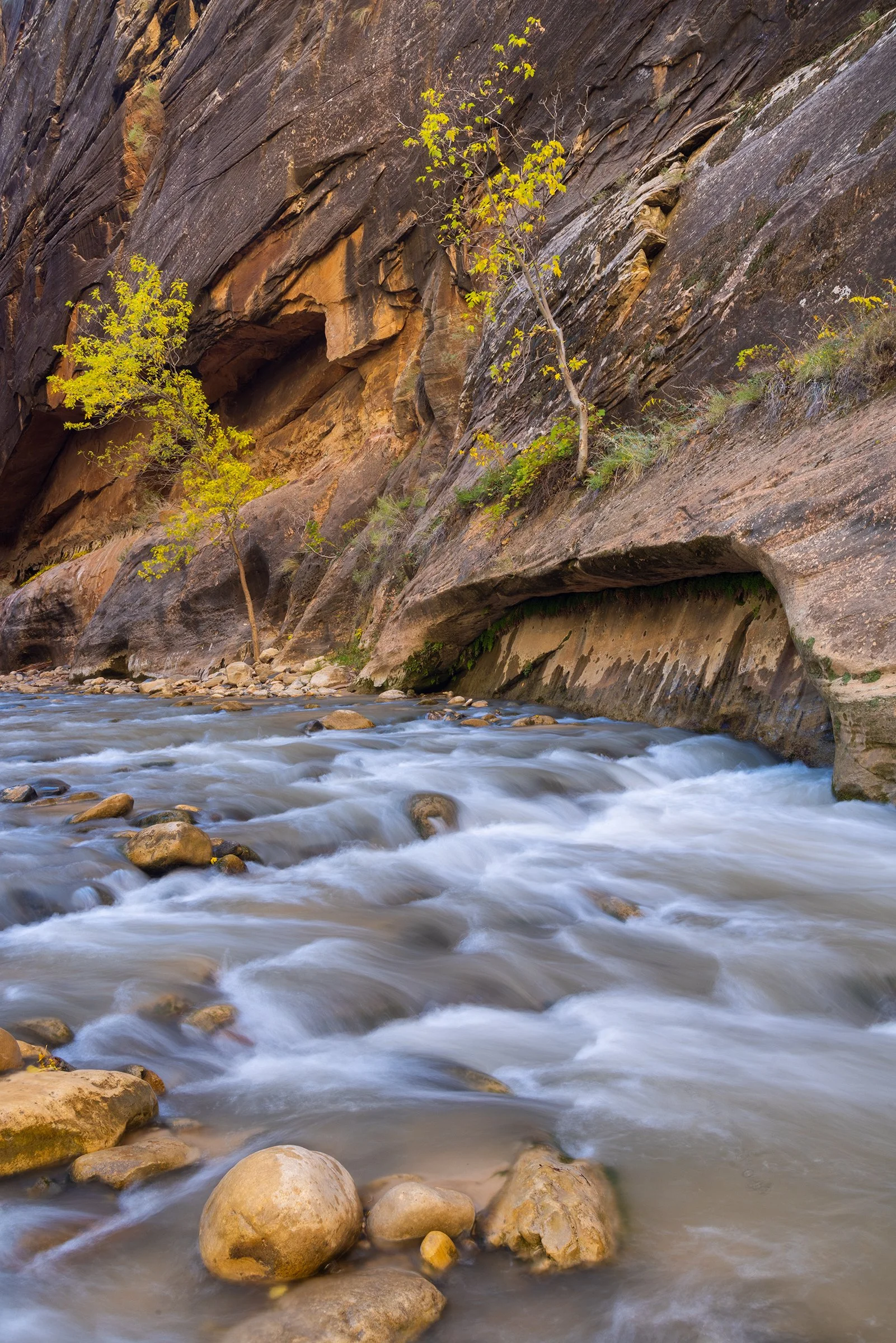 Instructional Photo Tours and Workshops — Slonina Nature Photography