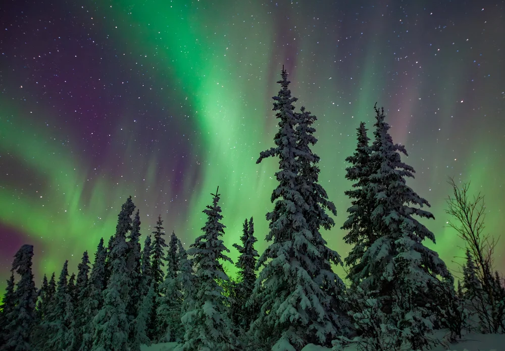 Alaska Photo Tours & Workshops Nature & Wildlife Photography Adventures ...