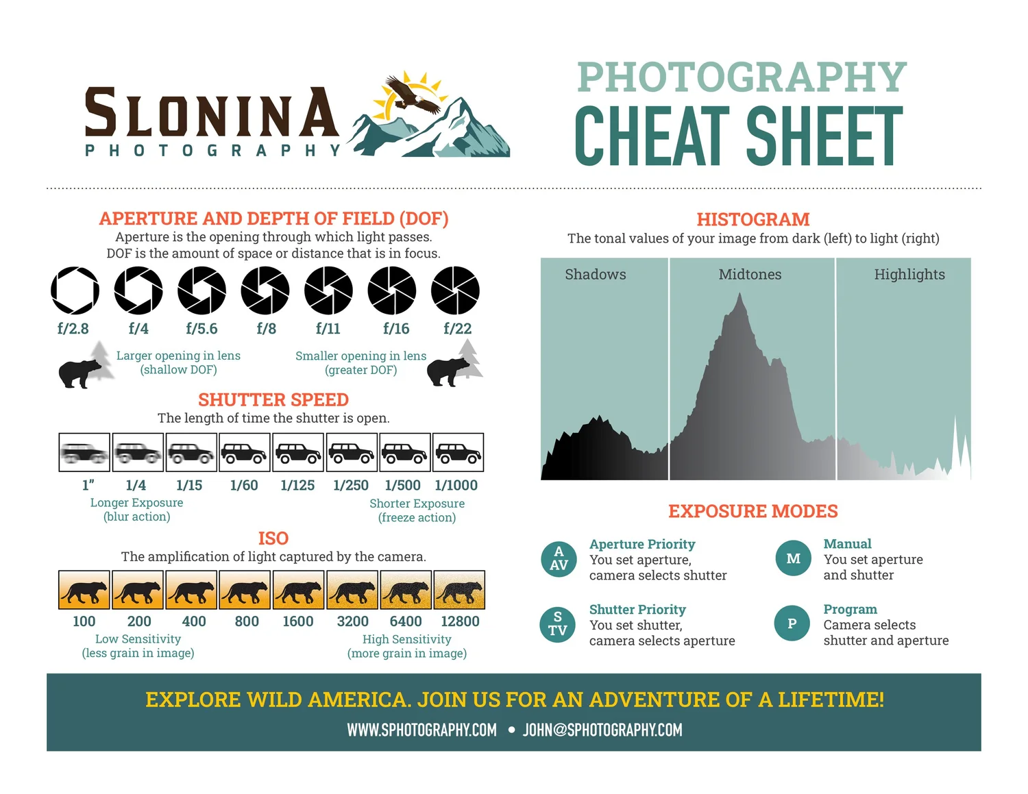 Photography Exposure Triangle — Slonina Nature Photography