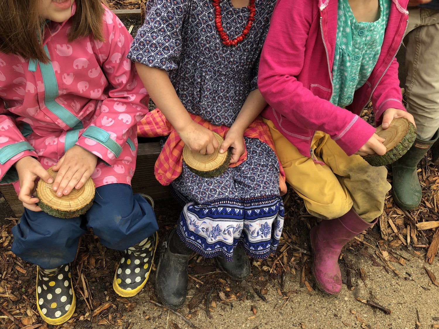 Special Subjects — Detroit Waldorf School