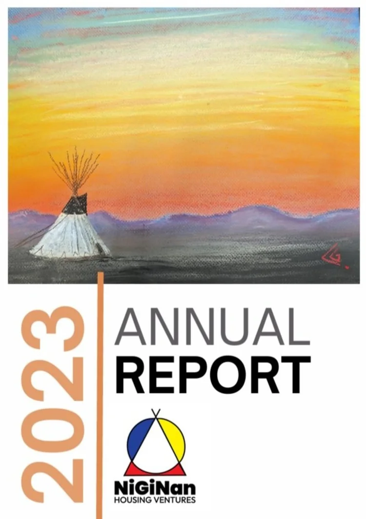 Annual Report — NiGiNan Housing Ventures