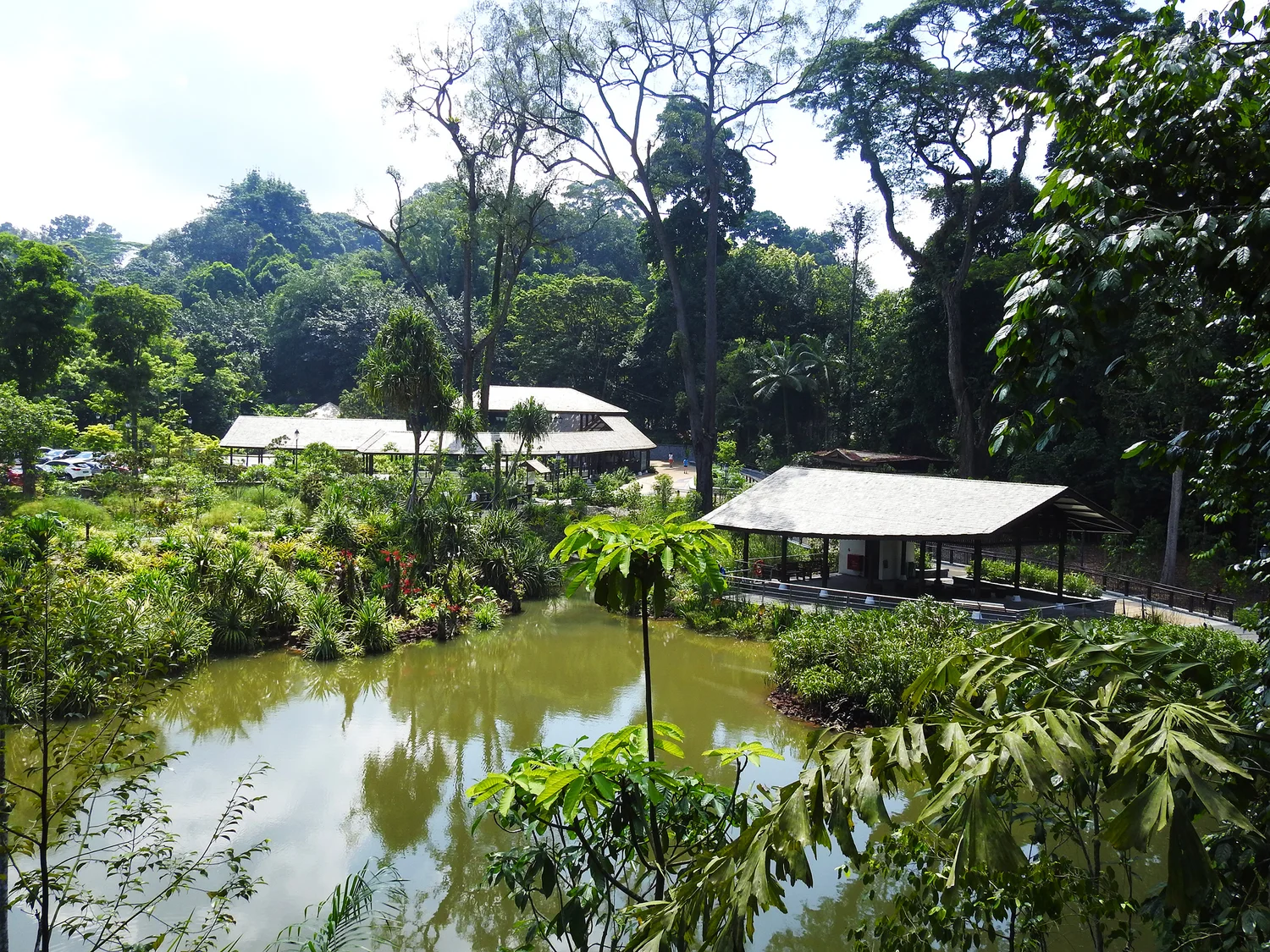 The Learning Forest at Singapore Botanic Gardens is Awarded the first ...