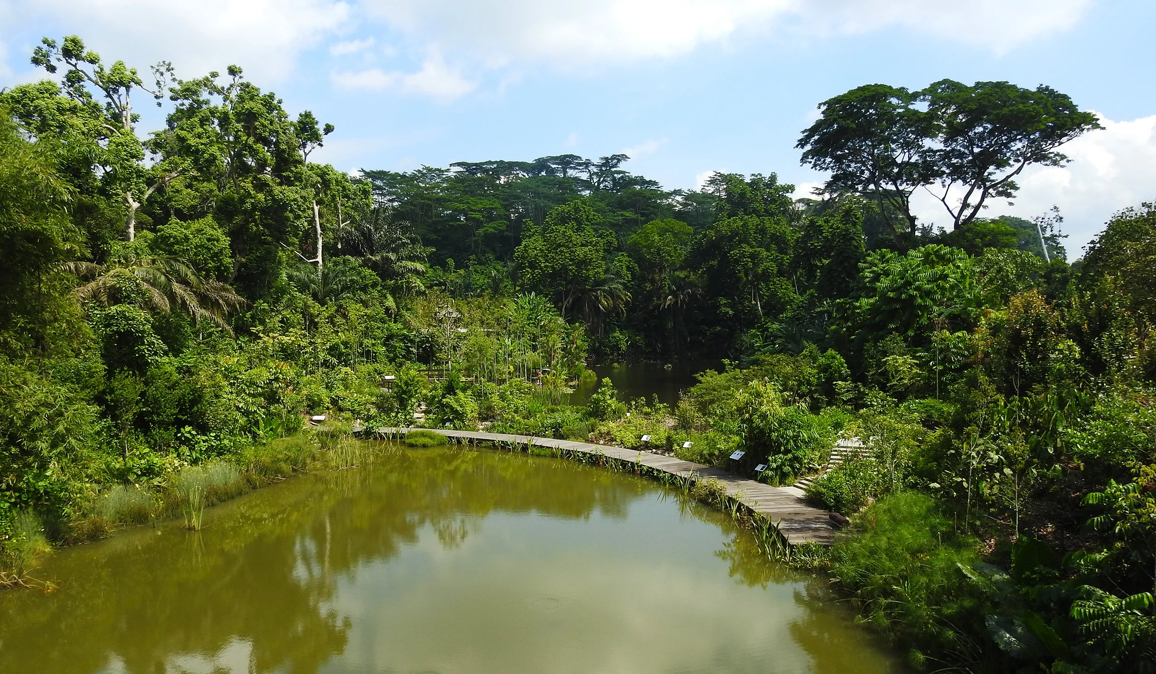 The Learning Forest at Singapore Botanic Gardens is Awarded the first ...