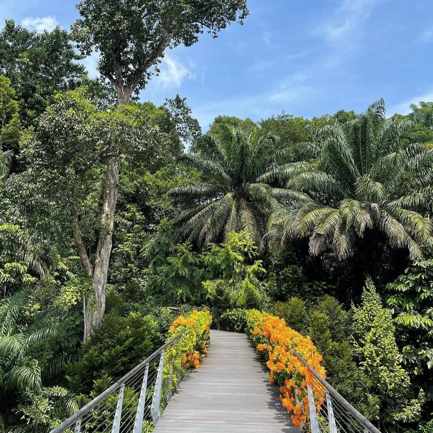 The Learning Forest wins more Awards — Stephen Caffyn Landscape Design