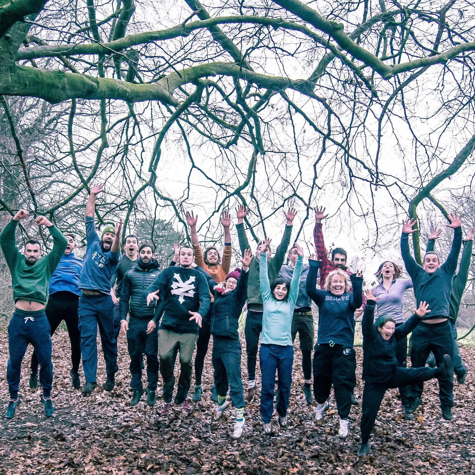 Online Movement Coaching and Personal Movement Coaching