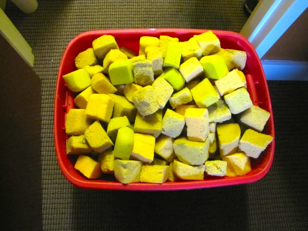 Making Sponges — Camping Coast to Coast