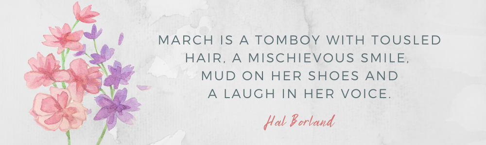 How to Celebrate...March — Carol McLeod Ministries